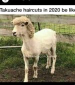 Takuache and Edgar haircut: Meaning, lifestyle, origin, tlacuache and ...